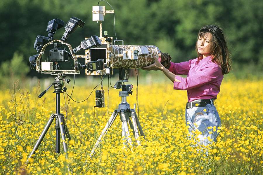 Photographie animalière | Gilles Martin