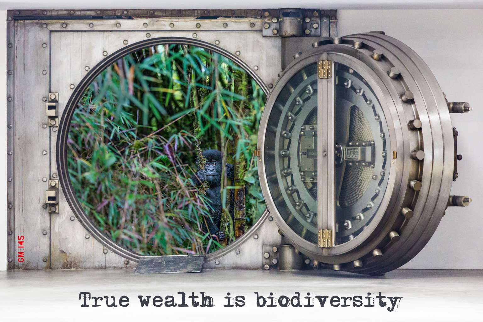 Street art in NYC | Gilles Martin